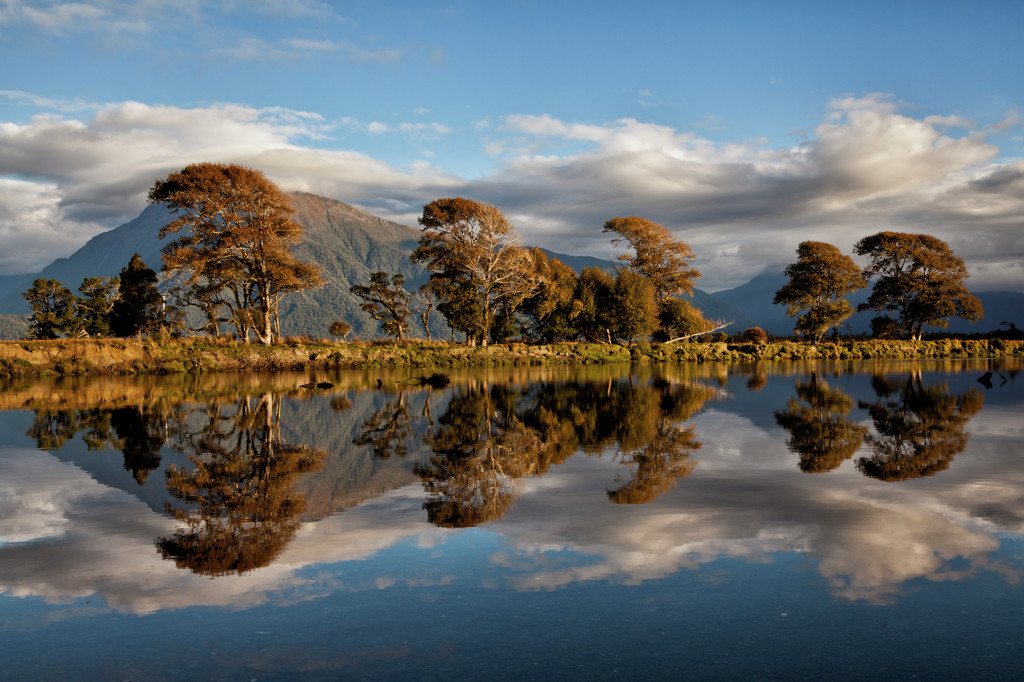 homepage | Neroli Nolan Photography